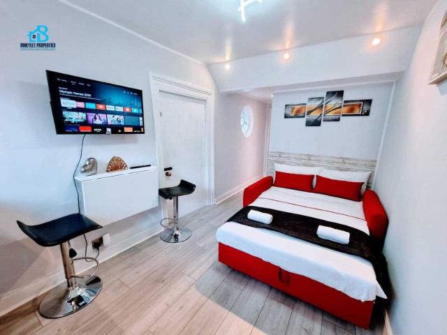 Studio flat and terrace, next Waterloo NO BILLS
