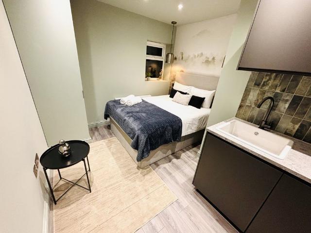 Studio Flat, Buckleigh Road, SW16