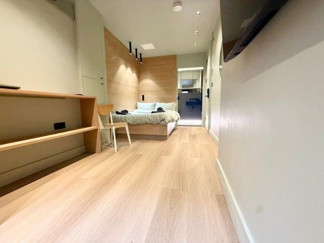 Studio Flat, Caledonian Road, N1