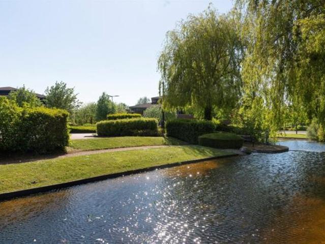 Studio flat for sale in Caldecotte Lake Drive, Caldecotte, Milton Keynes, MK7