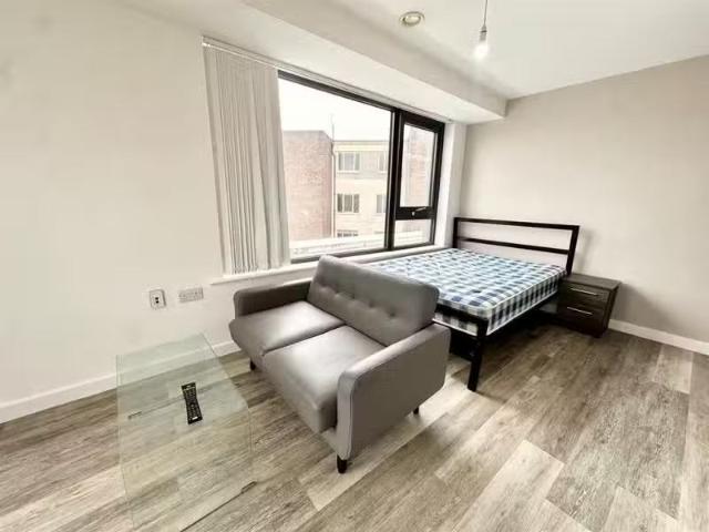 Studio flat for rent in 4 Leigh Street, Liverpool, L1