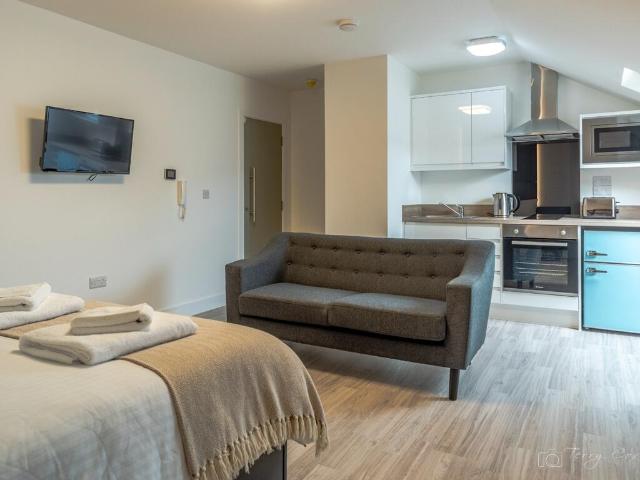 Studio flat for rent in 84 86 Derrys Villa, Flat 15, PL4