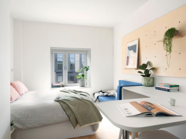 Studio flat for rent in Walnut Tree Close, Guildford, Surrey, GU1
