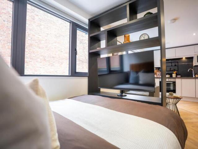 Studio flat for rent in Apt 24, Nova Residence #041943, LE1
