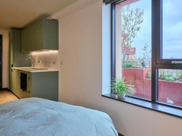 Studio flat for rent in Blackhorse Lane, London, E17