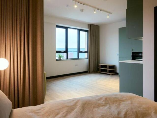 Studio flat for rent in Blackhorse Lane, London, E17