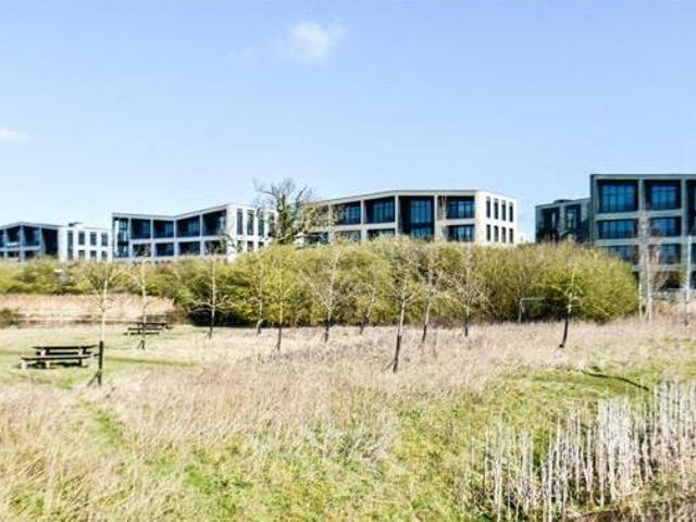 Studio Flat For Rent In Cambridge