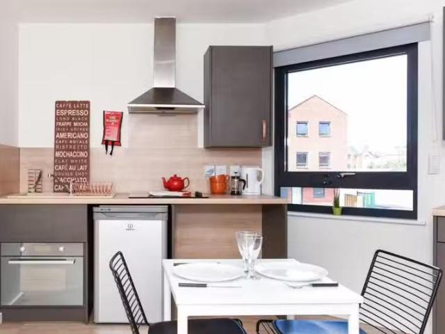 Studio flat for rent in Chester Student September, CH1