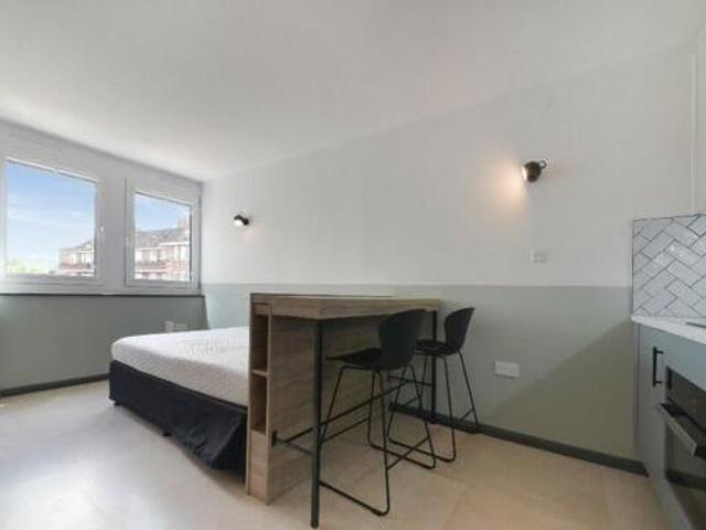 Studio Flat For Rent In Courland Grove