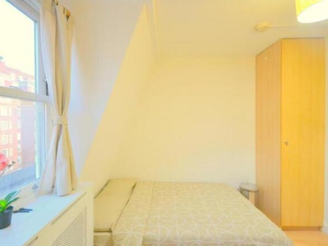 Studio flat for rent in Claverton Street, Pimlico, London, SW1V