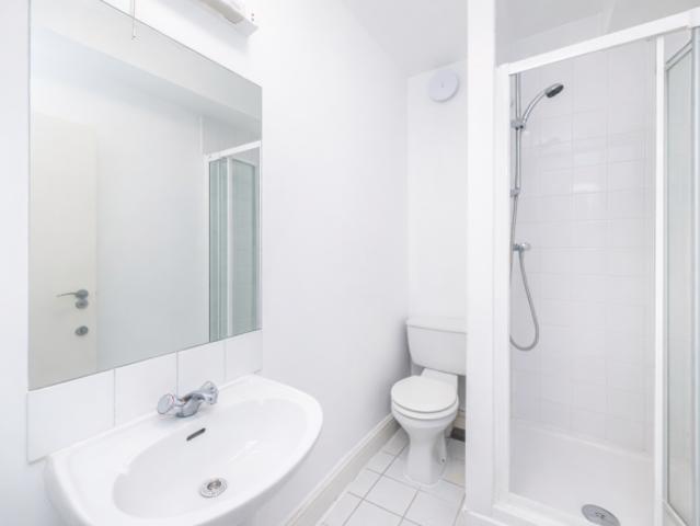 Studio flat for rent in Cromwell Road, Kensington And Chelsea, London, SW7