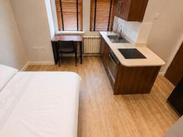 Studio flat for rent in Ferndale Road, London N15