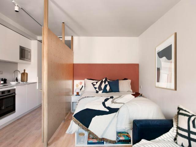 Studio flat for rent in Medium Studio, Scape House, Walnut Tree Close, Guildford, GU1