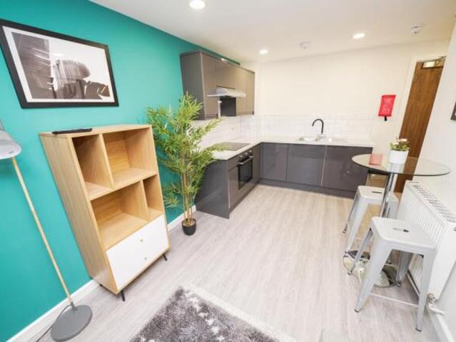Studio flat for rent in Sellers Wheel, Arundel Lane, Sheffield, S1