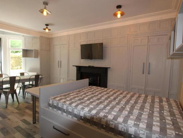 Studio flat for rent in St. Bedes Terrace, Sunderland, Tyne And Wear, SR2