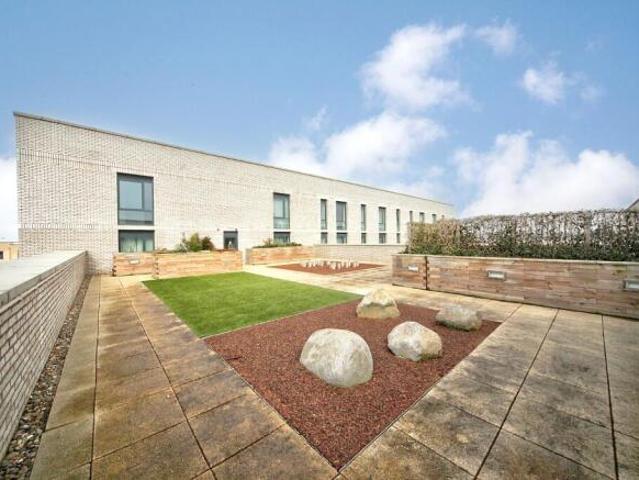 Studio flat for rent in Studio Apartment in Viva Court, Kimpton Road, Luton, LU2