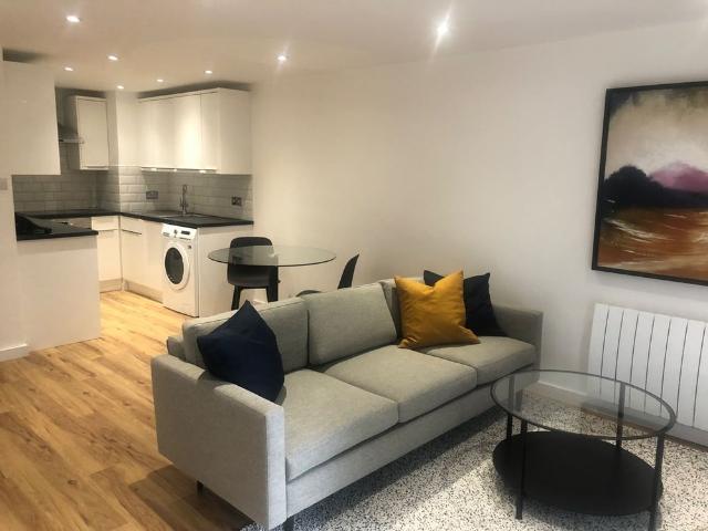 Studio Flat, George Leybourne House, E1