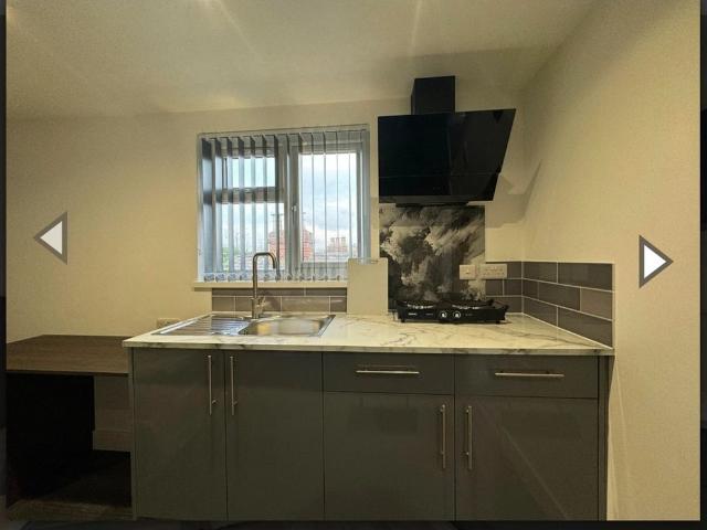 Studio Flat, Great West Road, TW8