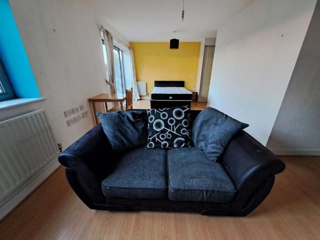 Studio Flat, King Edwards Wharf, B16