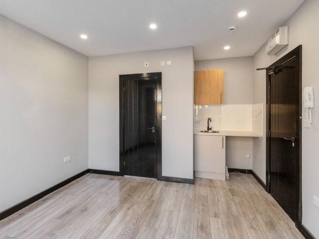 Studio Flat, Niederwald Road, SE26