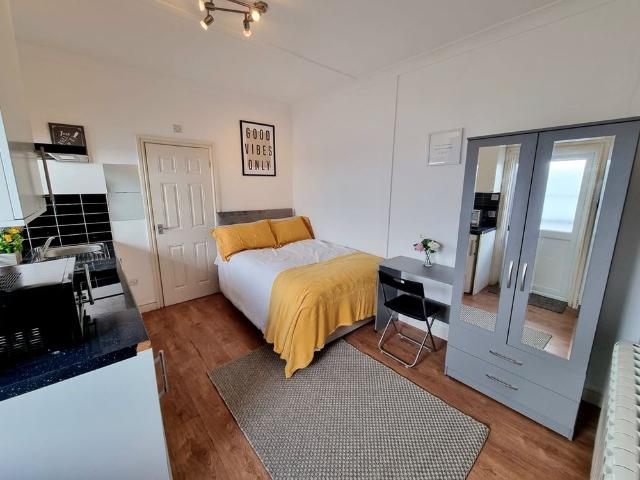 Studio Flat, South Ealing Road, W5