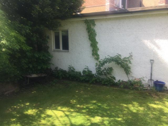 Studio in Kensal Rise