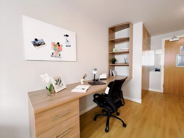 Studio silver
