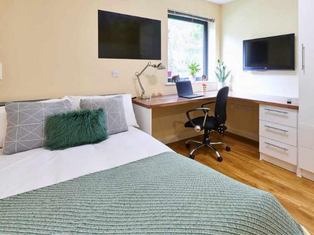 Studio Premium, at The Hub