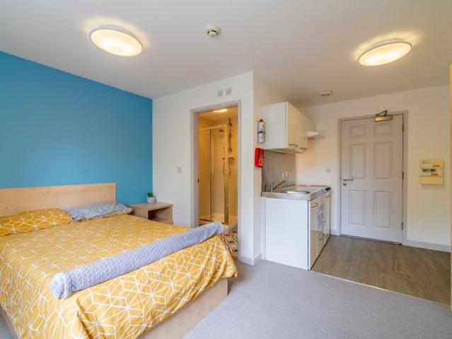 Studio Room Available from October!