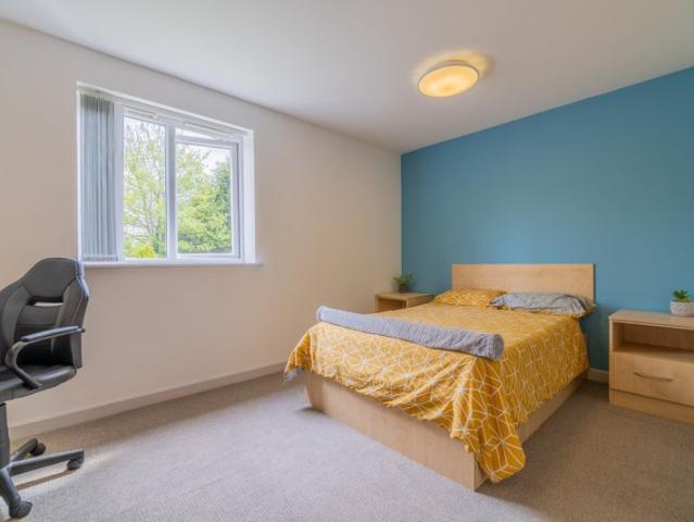 Studio Room Available Now!