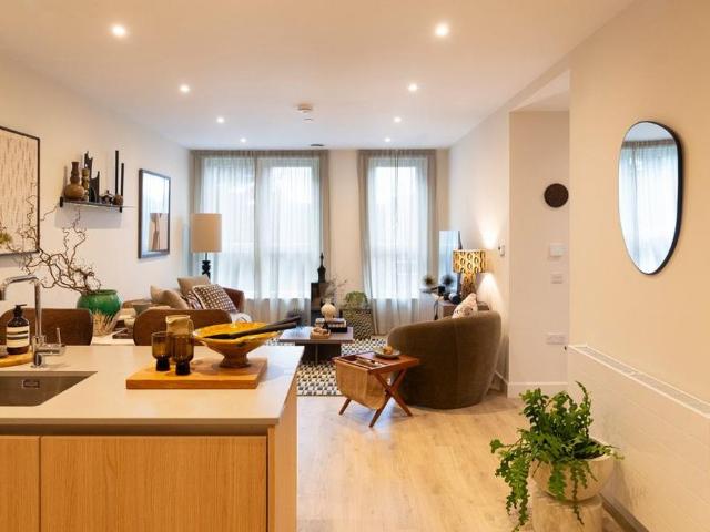 Studio to rent