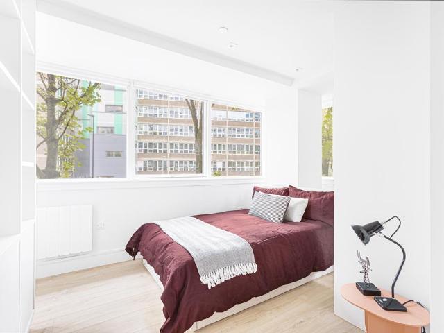 Studio to rent