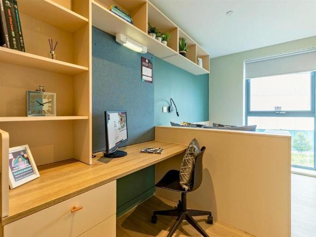 Studio to rent