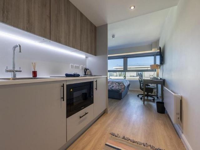 Studio to rent