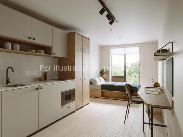 Studio to rent