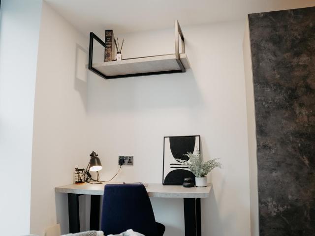 Studio to rent