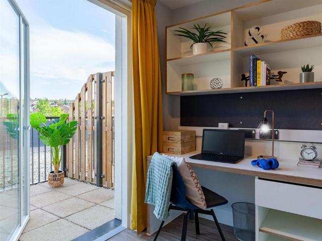 Studio to rent