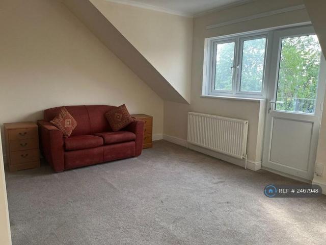 Studio to rent