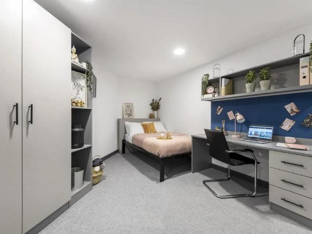 Studio to rent