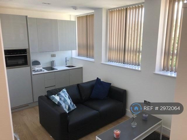 Studio to rent