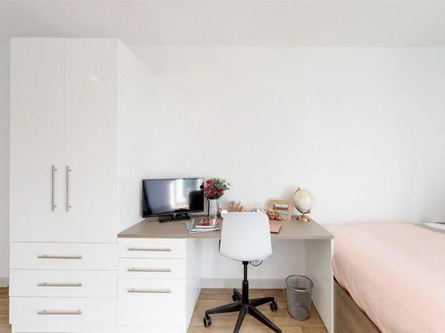 Studio to rent