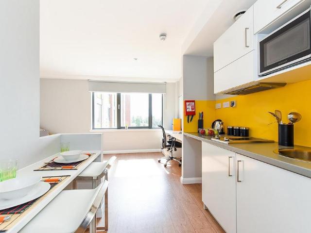 Studio to rent