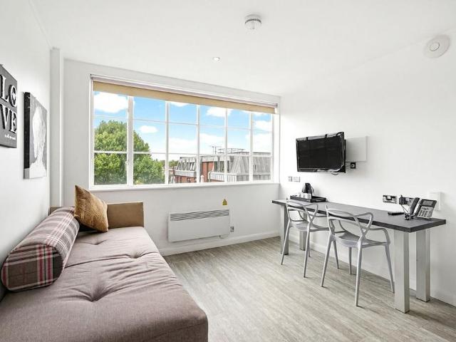 Studio to rent