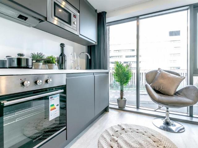 Studio to rent