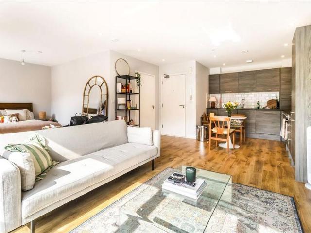 Studio to rent