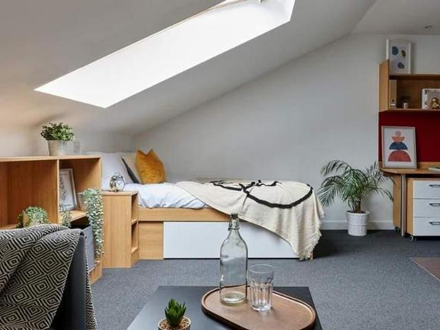 Studio to rent