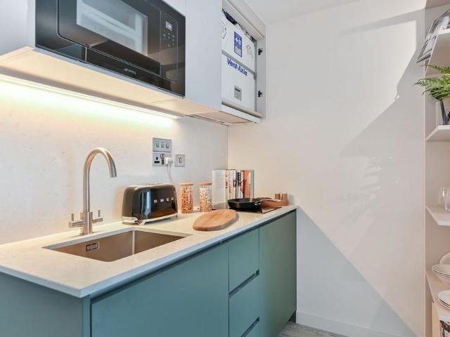 Studio to rent
