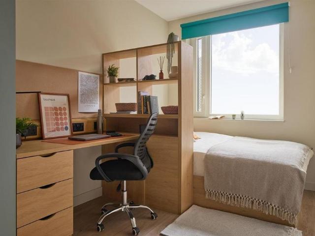 Studio to rent