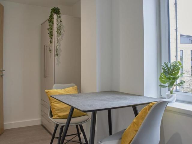 Studio to rent