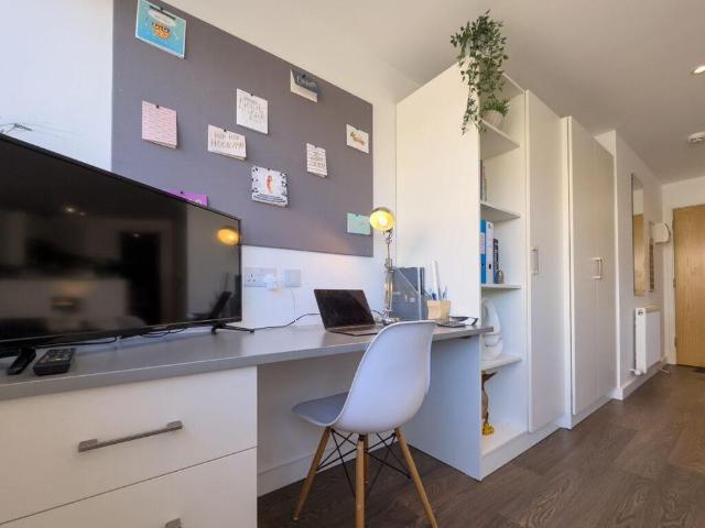 Studio to rent